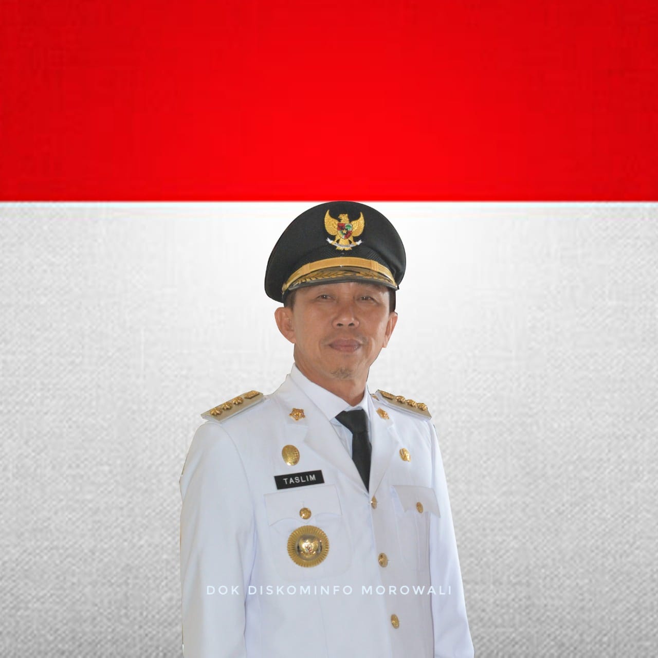 Website Resmi Kabupaten Morowali
